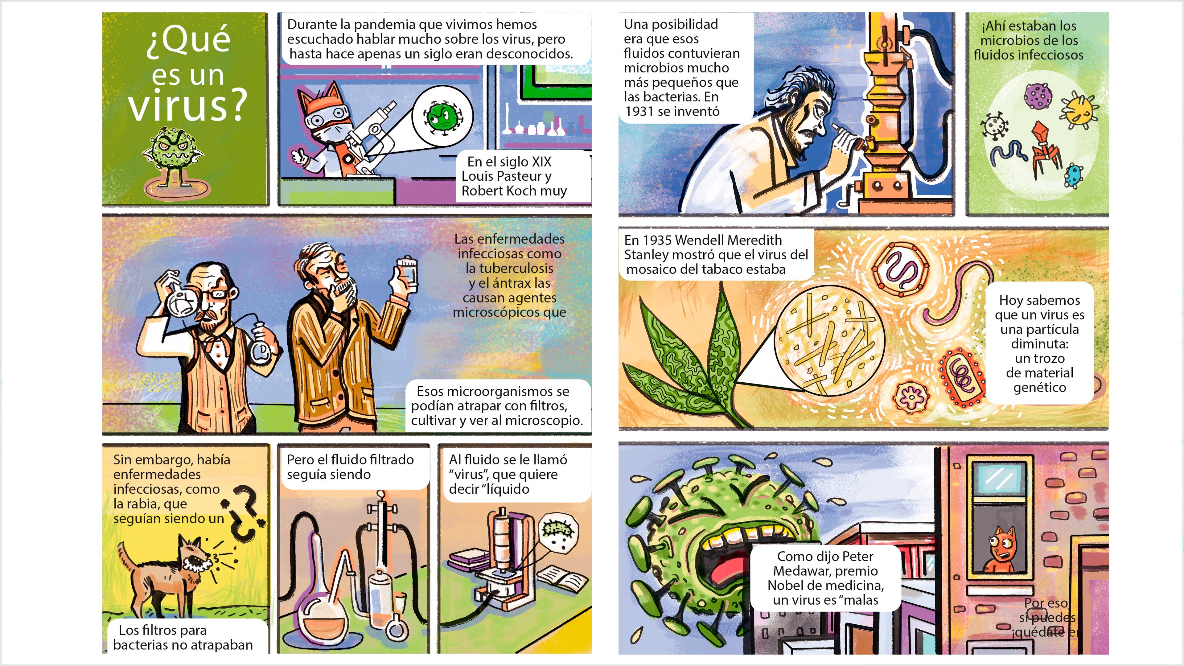 ¿Cómo sabemos?: ¿Qué es un virus? - Revista ¿Cómo ves? - Divulgación de ...